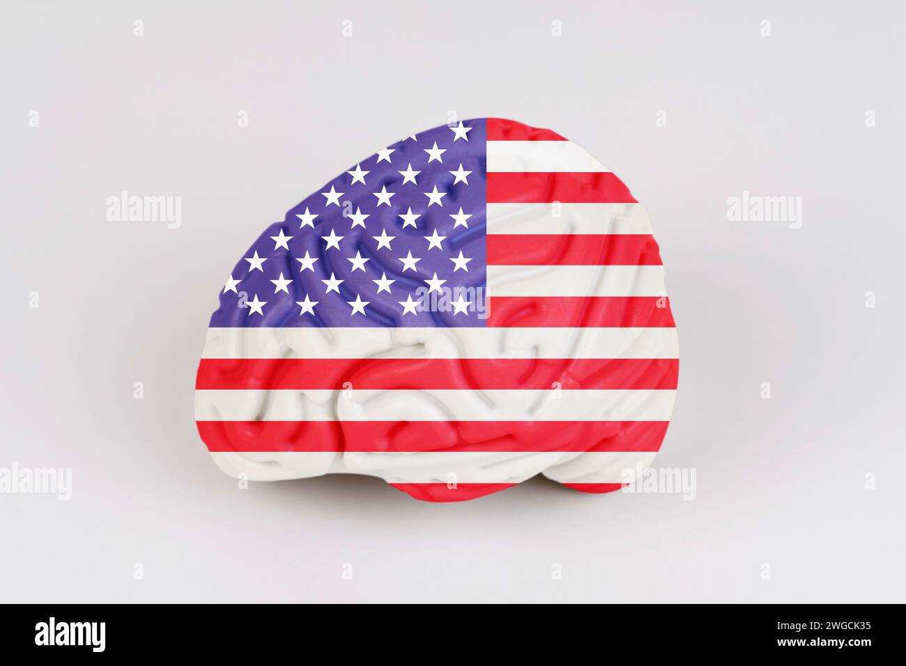 On a white background, a model of the brain with a picture of a flag ...