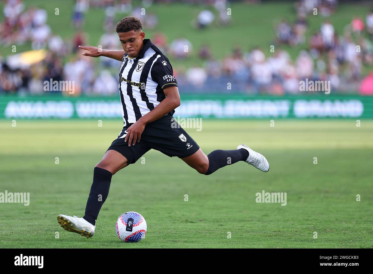 4th February 2024; Campbeltown Stadium, Sydney, NSW, Australia: A ...