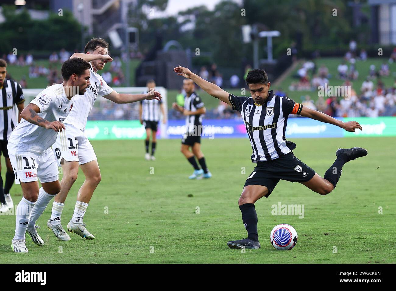 4th February 2024; Campbeltown Stadium, Sydney, NSW, Australia: A ...