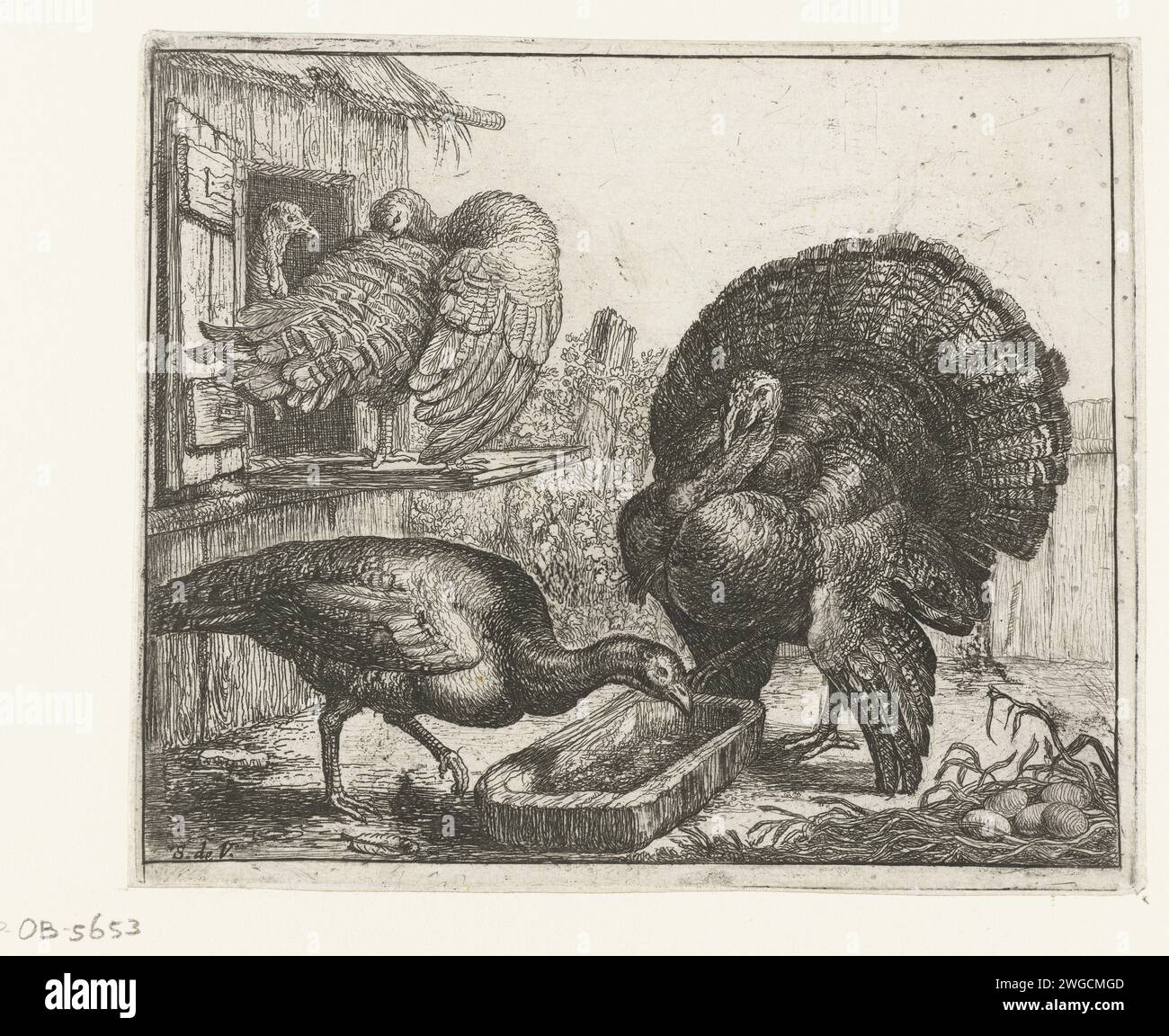 Four turkeys, Simon de Vlieger, 1610 - 1653 print From a series of ten ...