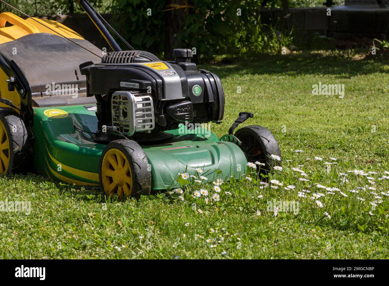 Mow Lawn, Gardening Stock Photo - Alamy