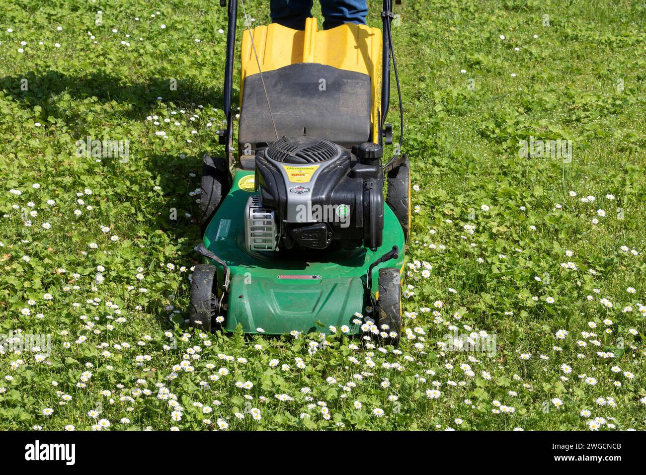 Mow Lawn, Gardening Stock Photo - Alamy