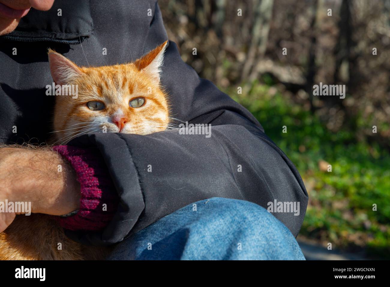 Man holding cat in arms hi-res stock photography and images - Alamy