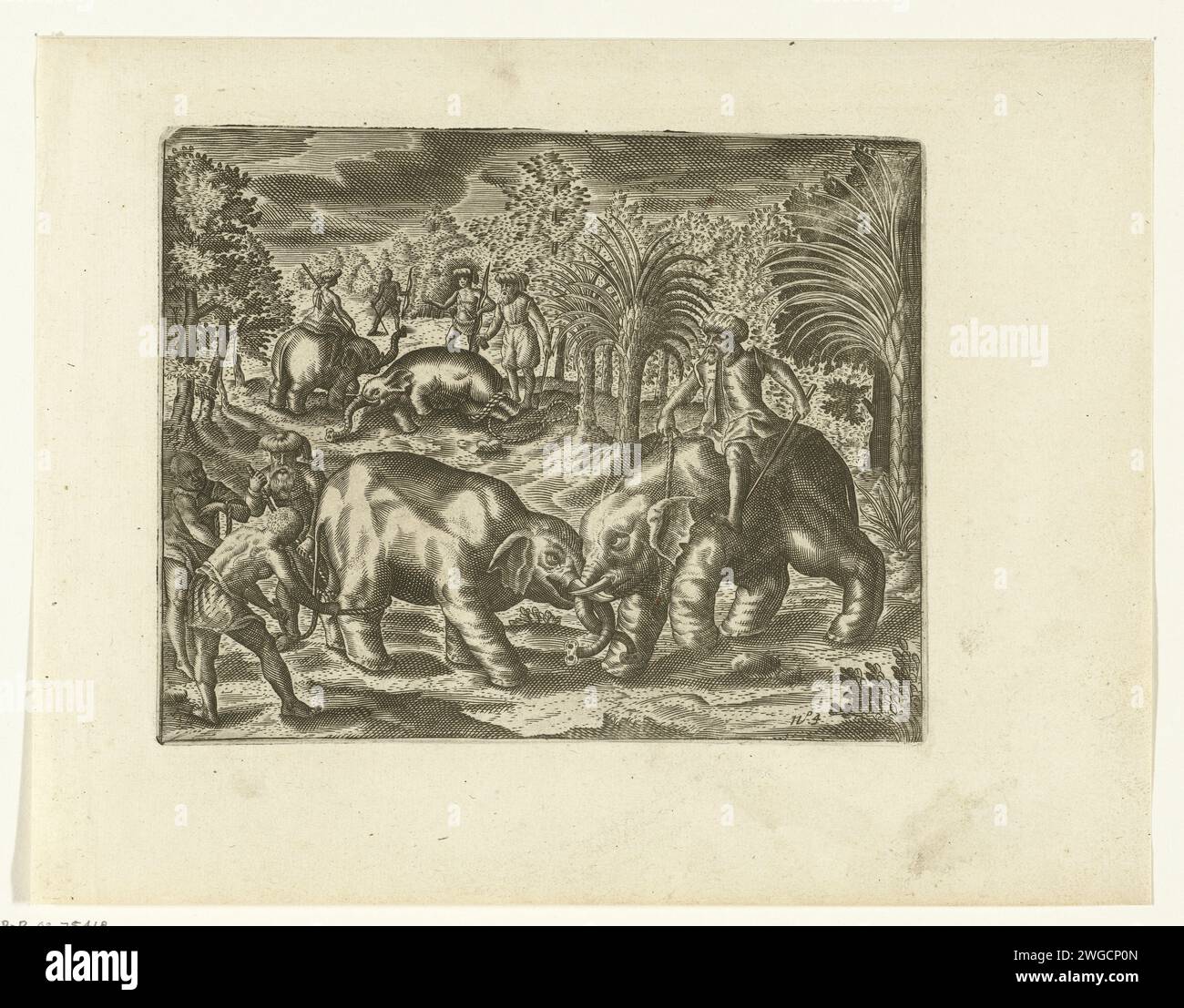 Catching and taming elephants on Pattani, 1602, 1644 - 1646 print The ...