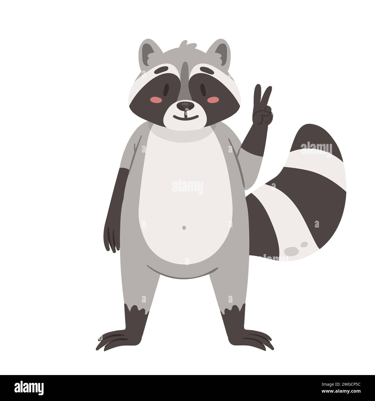 Cute raccoon showing victory fingers gesture. Funny raccoon in standing ...