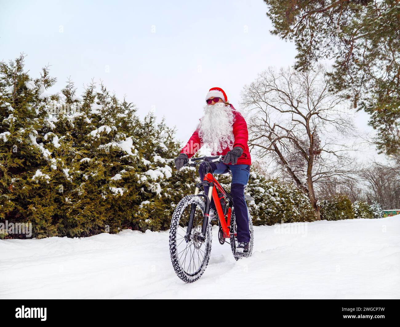 Santa Claus rides a bicycle in winter. A guy with a beard and wearing a ...