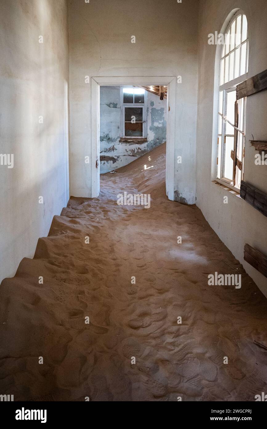 Empty hallway with wooden floors and expansive windows surrounded by ...