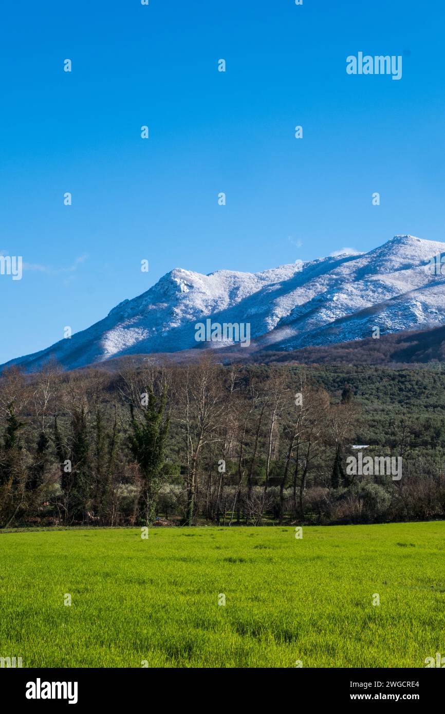 four seasons of snow and mountains in the plain green field background ...