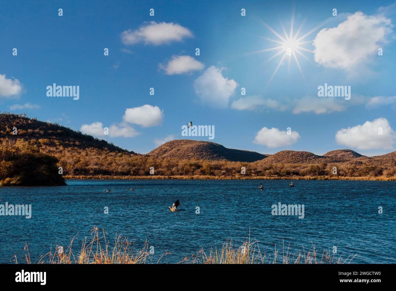 Sun river game range hi-res stock photography and images - Alamy