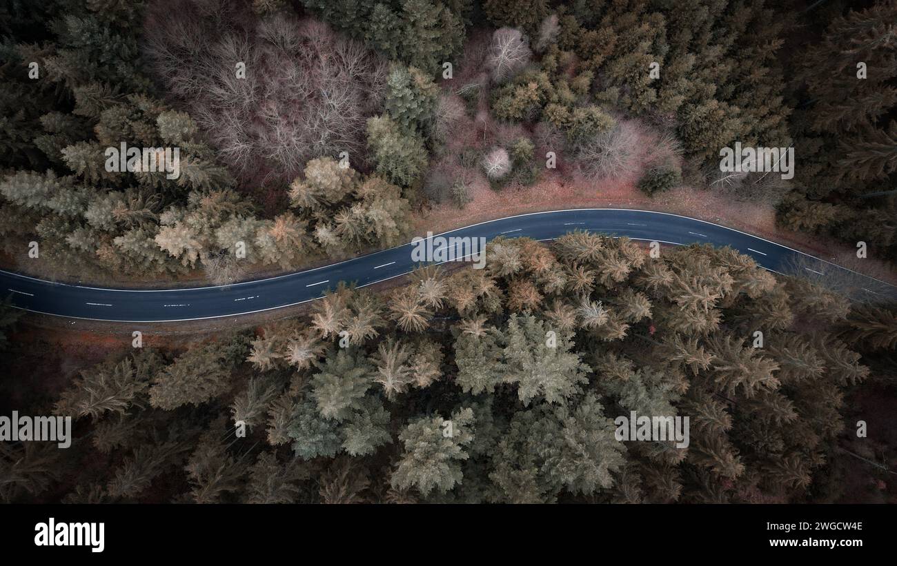 Enchanting Serenity: Aerial View of Winding Forest Road from Above ...