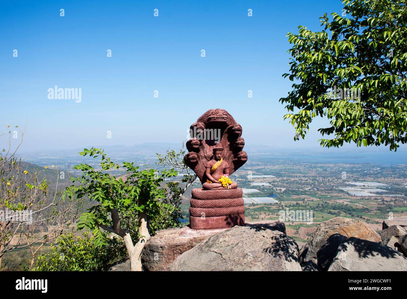 Buddha meditate and protective cover head by mythical serpent or Nak ...