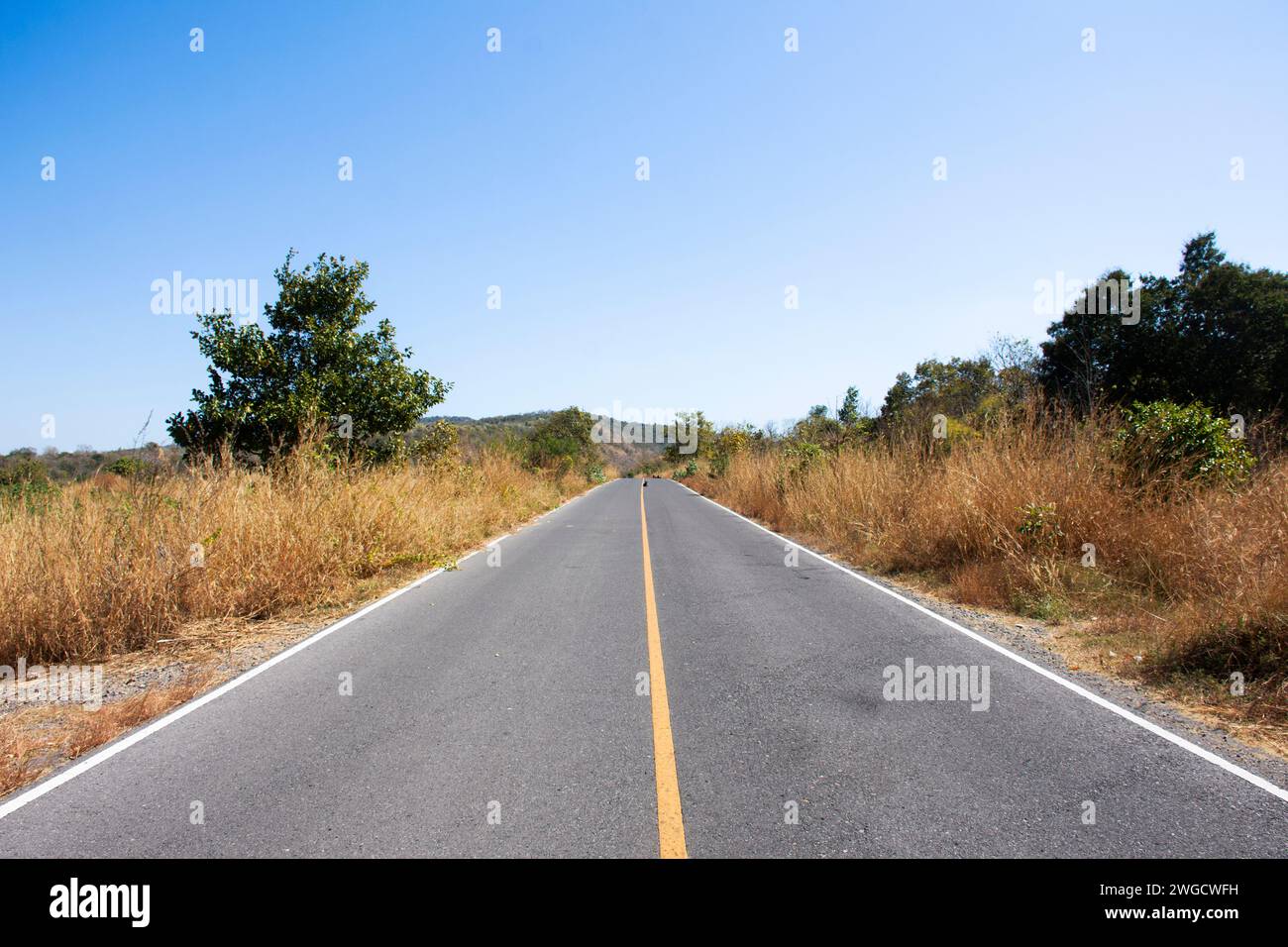 View landscape forest jungle and countryside street road for thai ...