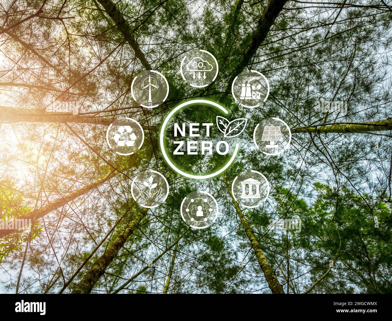 Reduce CO2 emissions, limit climate change, net zero carbon dioxide reduction concepts. NET ZERO ...