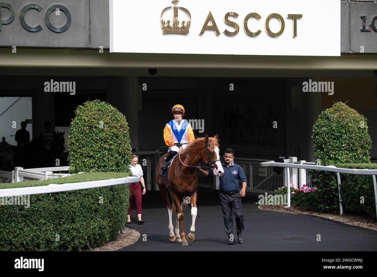 Ten bob tony horse racing hi-res stock photography and images - Alamy