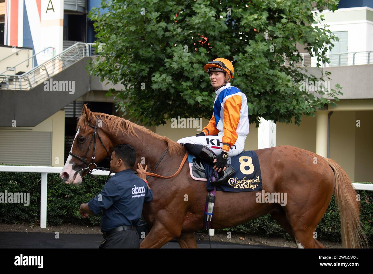 Ten bob tony horse racing hi-res stock photography and images - Alamy
