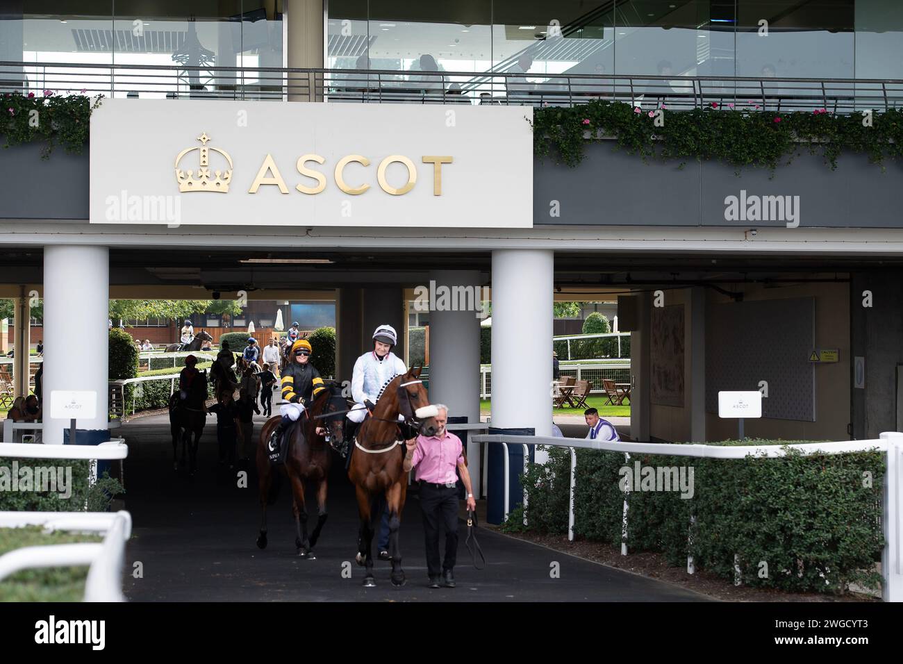 Miss alice stevens hi-res stock photography and images - Alamy