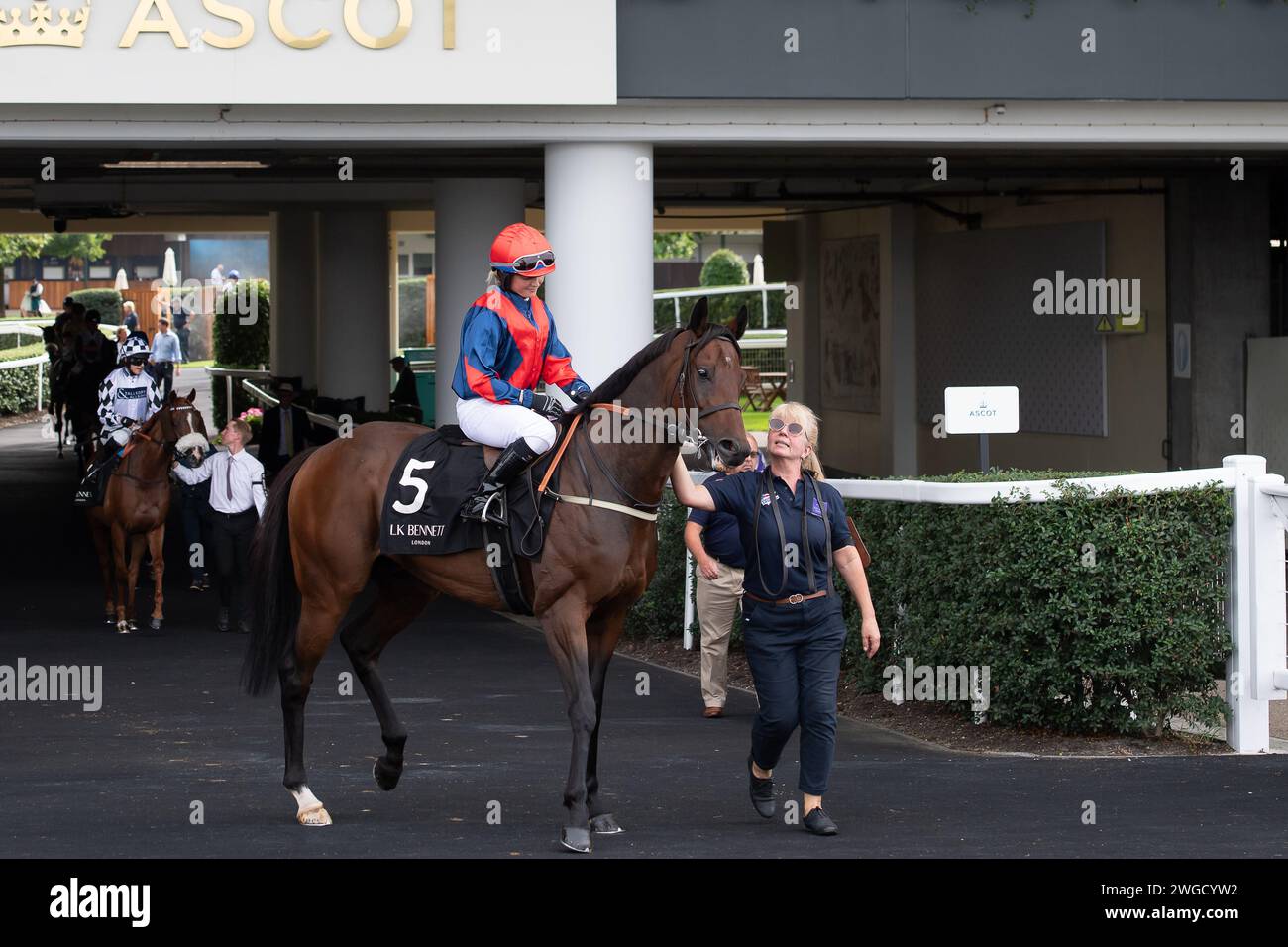 Miss maddison wright hi-res stock photography and images - Alamy