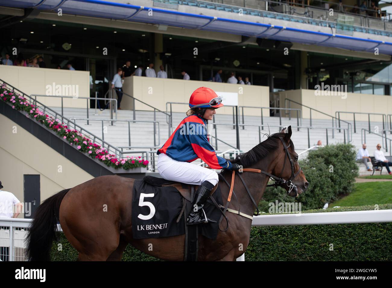 Miss maddison wright hi-res stock photography and images - Alamy