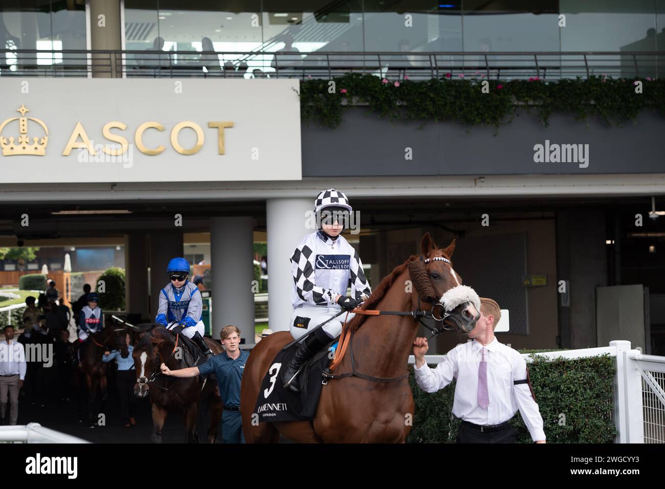 Maysong horse hi-res stock photography and images - Alamy