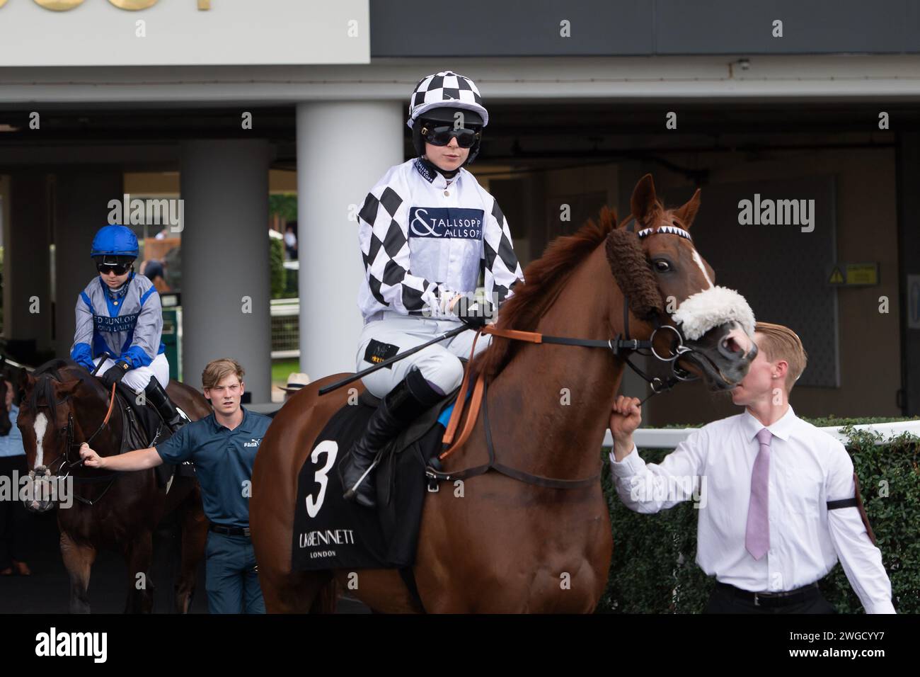 Miss fren obrien hi-res stock photography and images - Alamy