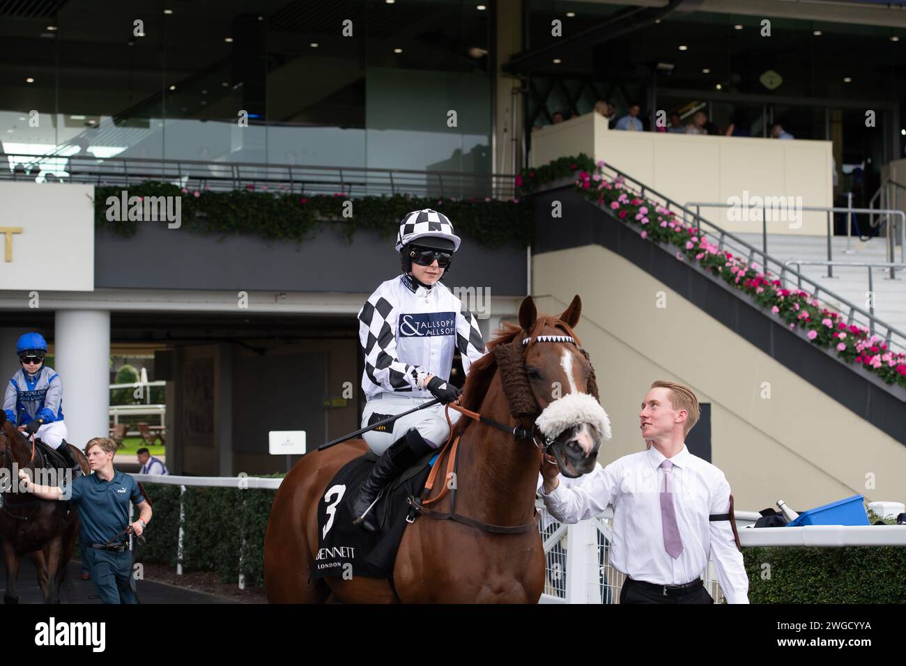 Maysong horse hi-res stock photography and images - Alamy