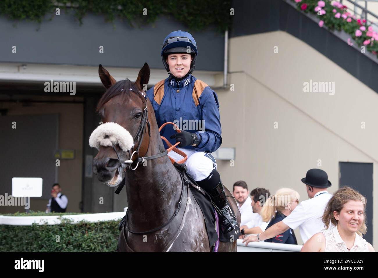 Brodie hampson jockey hi-res stock photography and images - Alamy