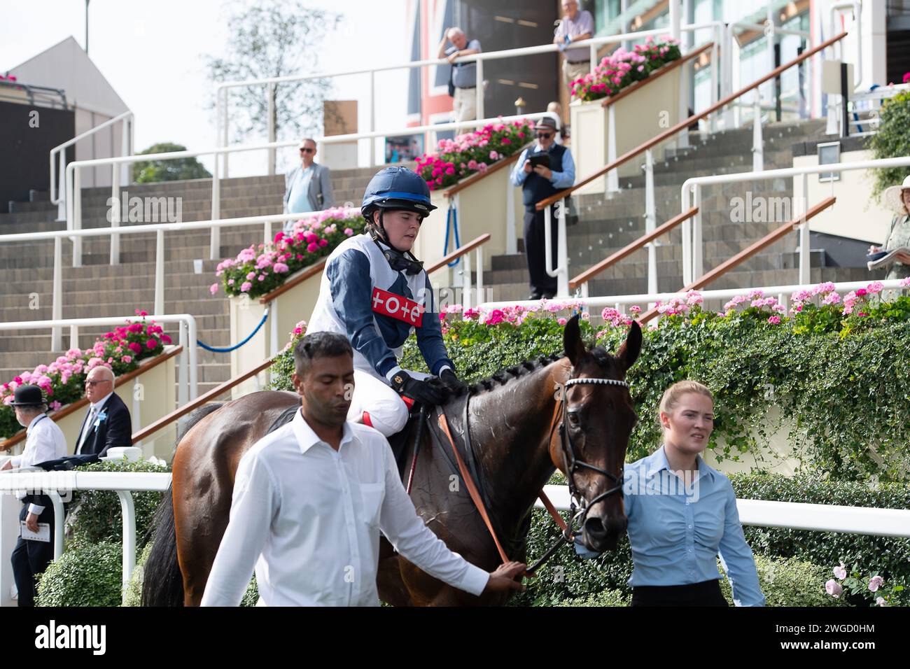 Flyawaydream hi-res stock photography and images - Alamy