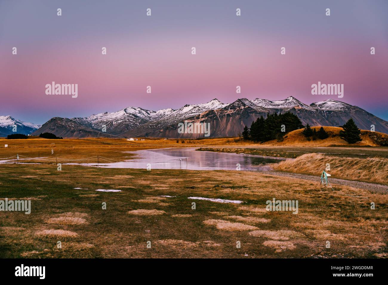 Iceland greenery hi-res stock photography and images - Alamy