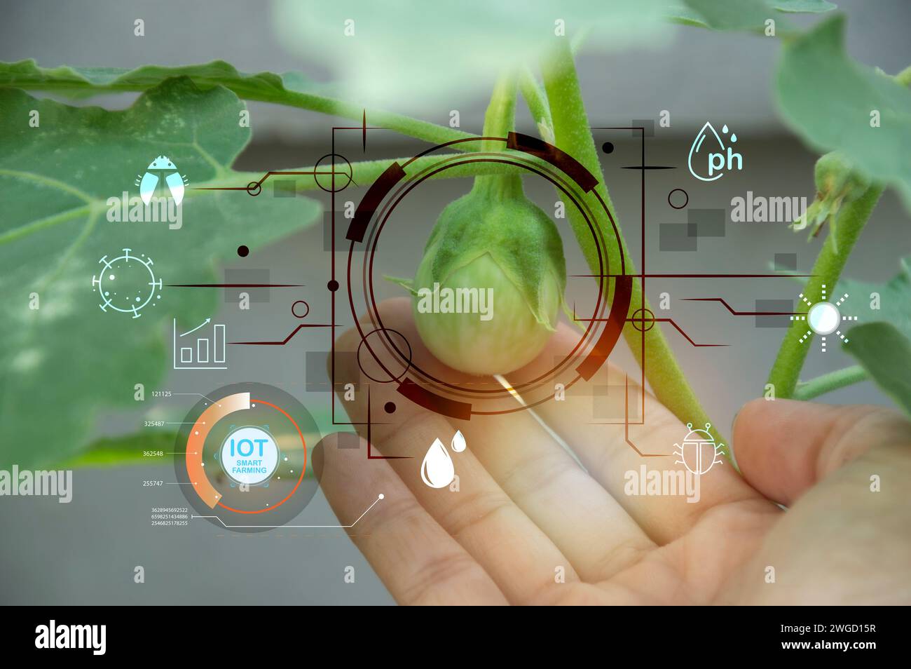 Ideas for using AI and smart farming iot Stock Photo - Alamy
