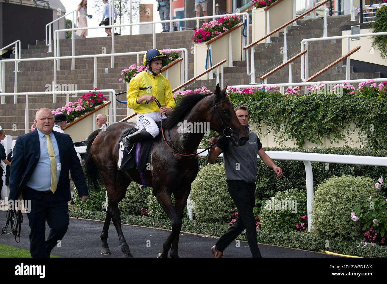 2024 parade horse hi-res stock photography and images - Alamy