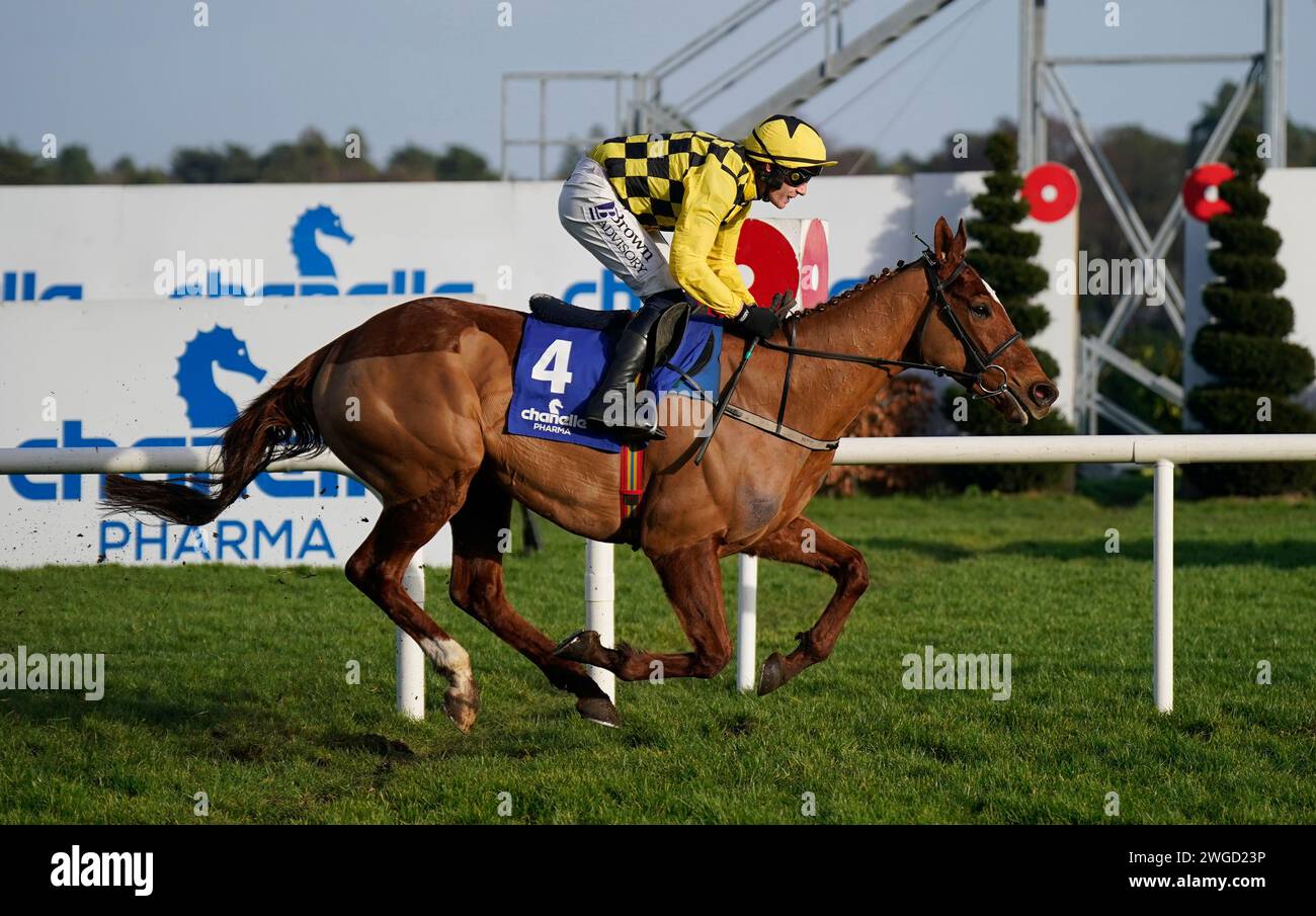 Leopardstown racing state man hi-res stock photography and images - Alamy