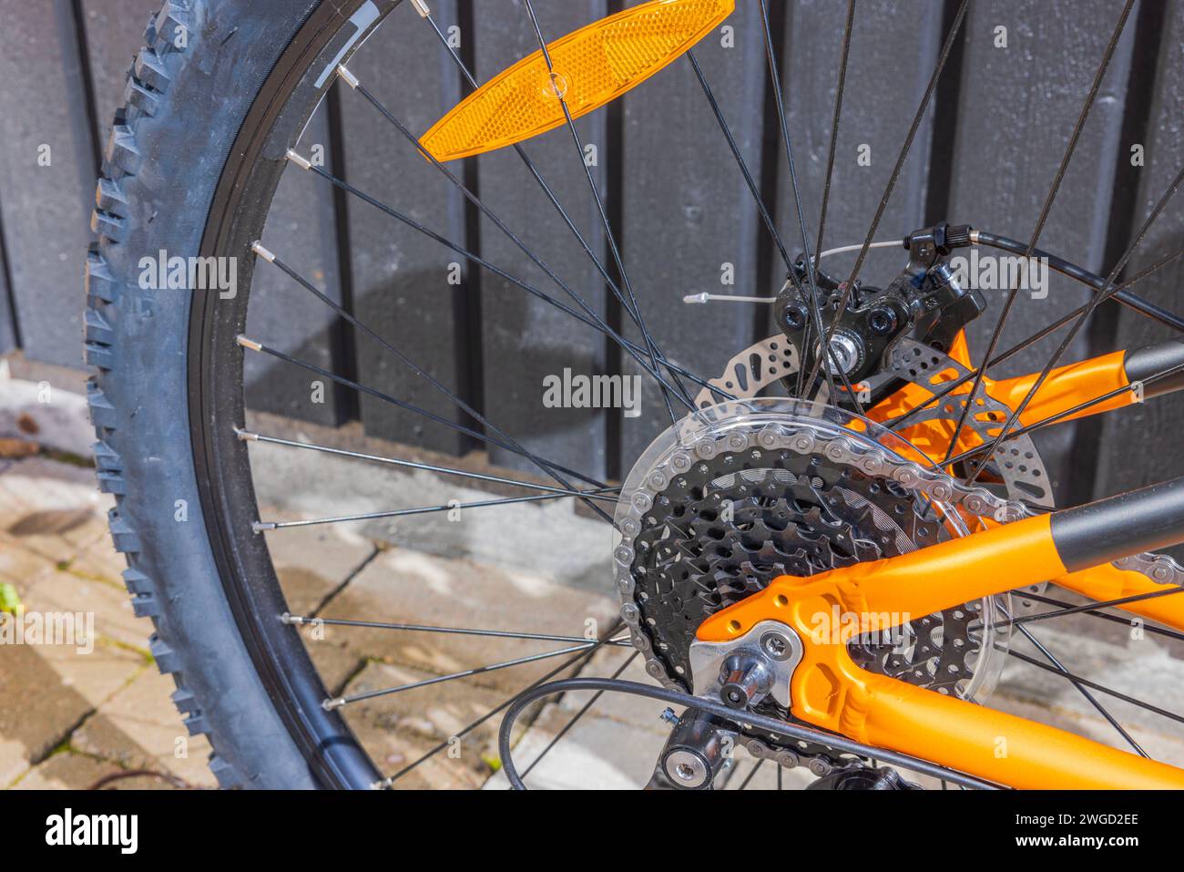 Close-up view of the rear wheel of a mountain bike with multiple ...
