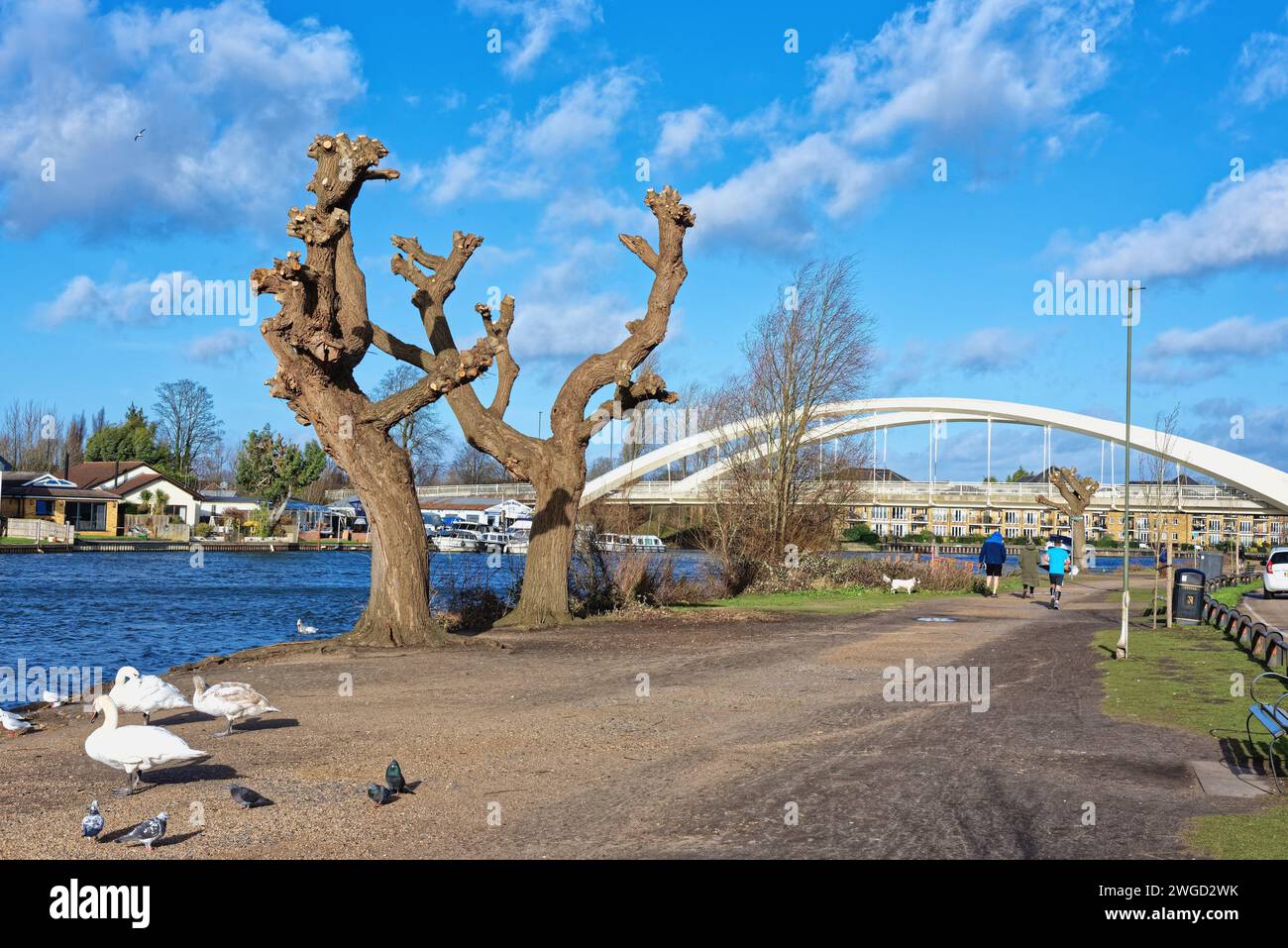 The riverside at Walton on Thames with the road bridge in the ...