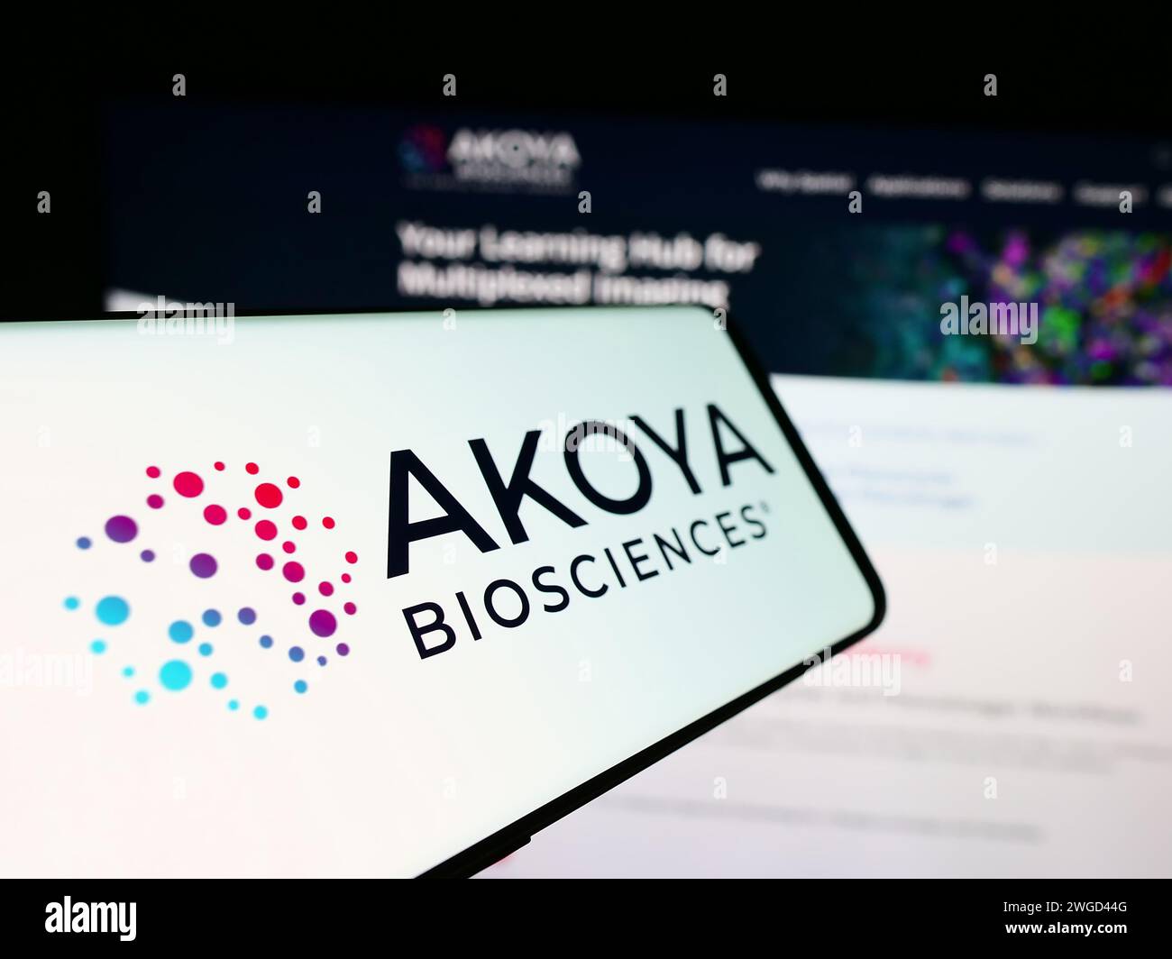 Akoyabio hi-res stock photography and images - Alamy