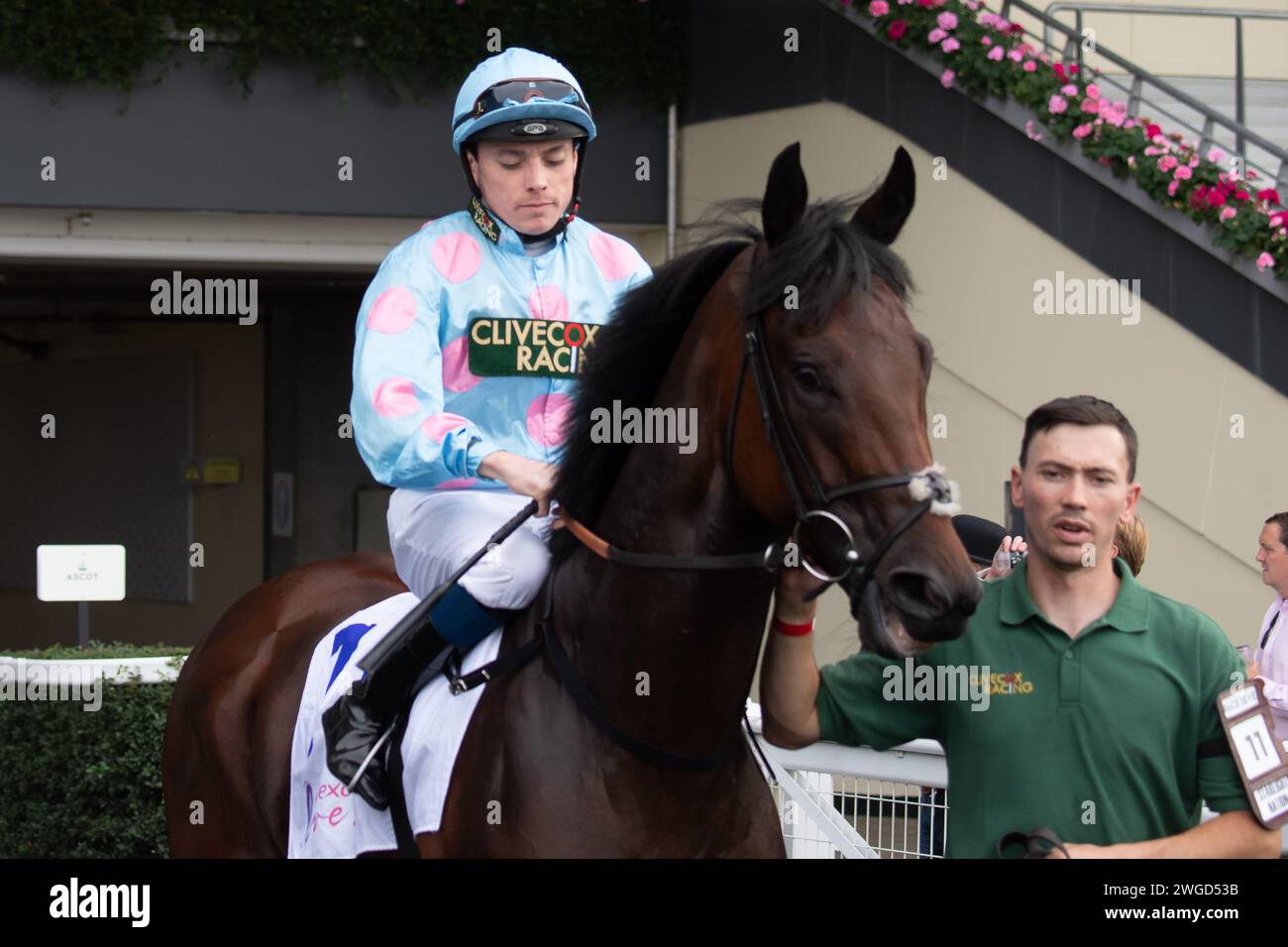 Ascot, UK. 8th September, 2024. Horse Starlight Nation ridden by jockey ...