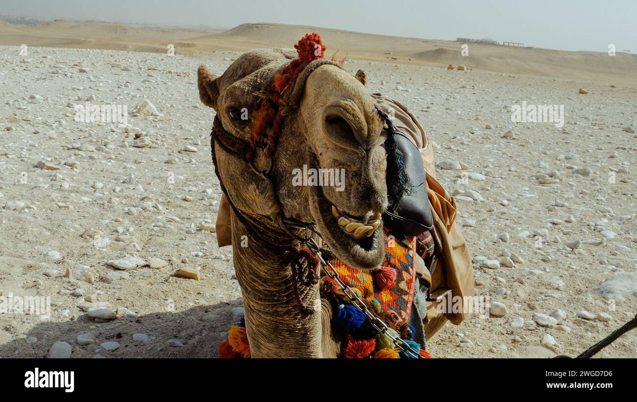 Area of a pyramid hi-res stock photography and images - Alamy