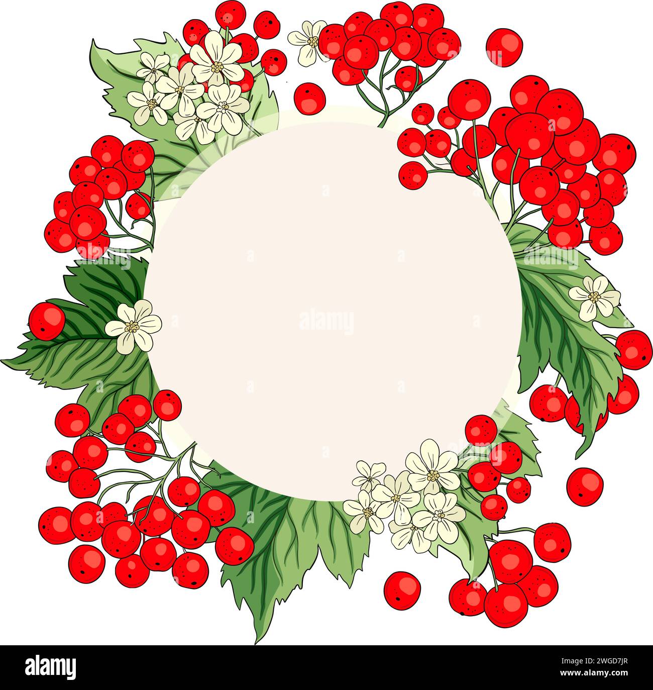 Wildberry Stock Vector Images - Alamy
