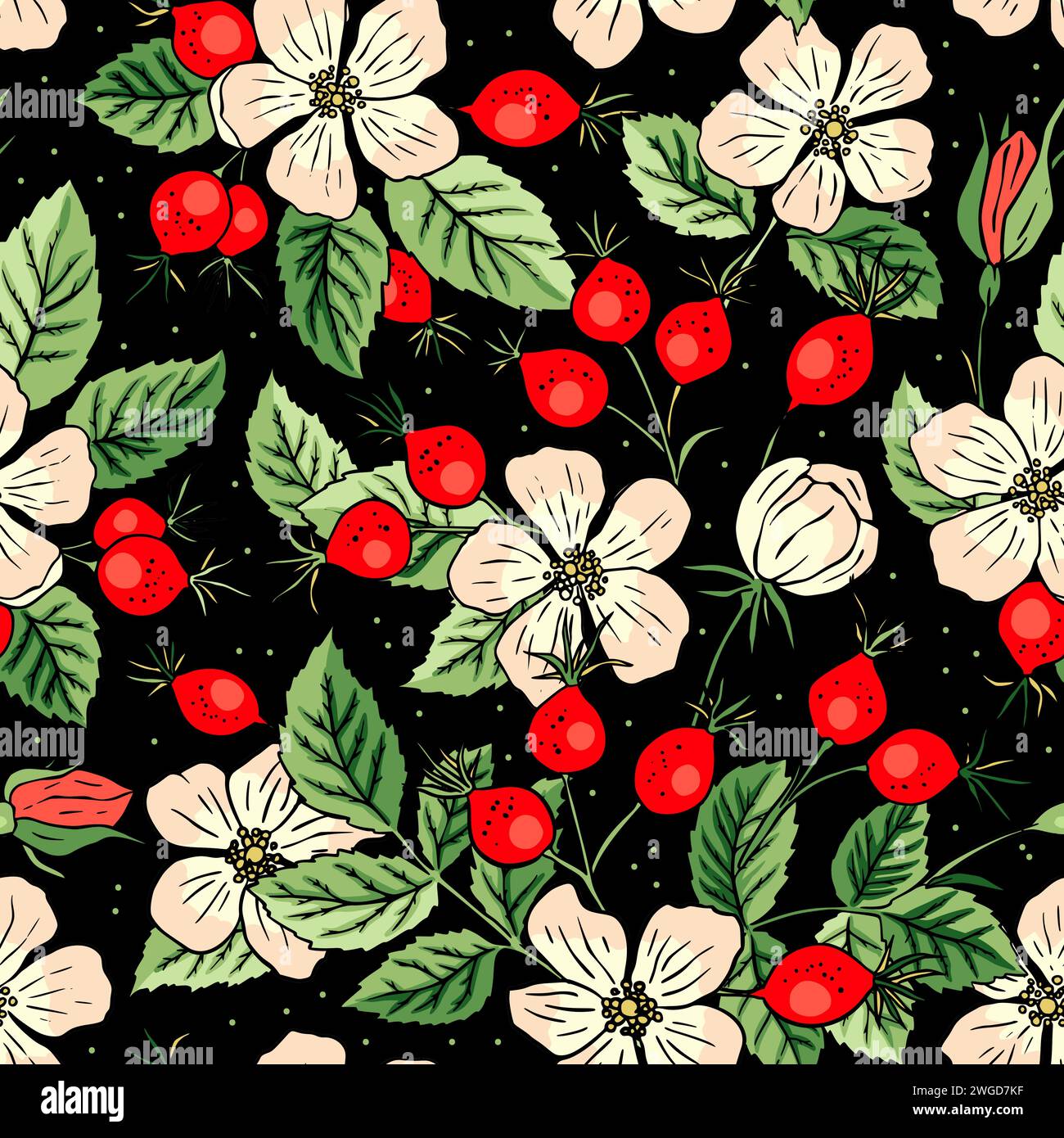 Wild berry fruit hip Stock Vector Images - Alamy