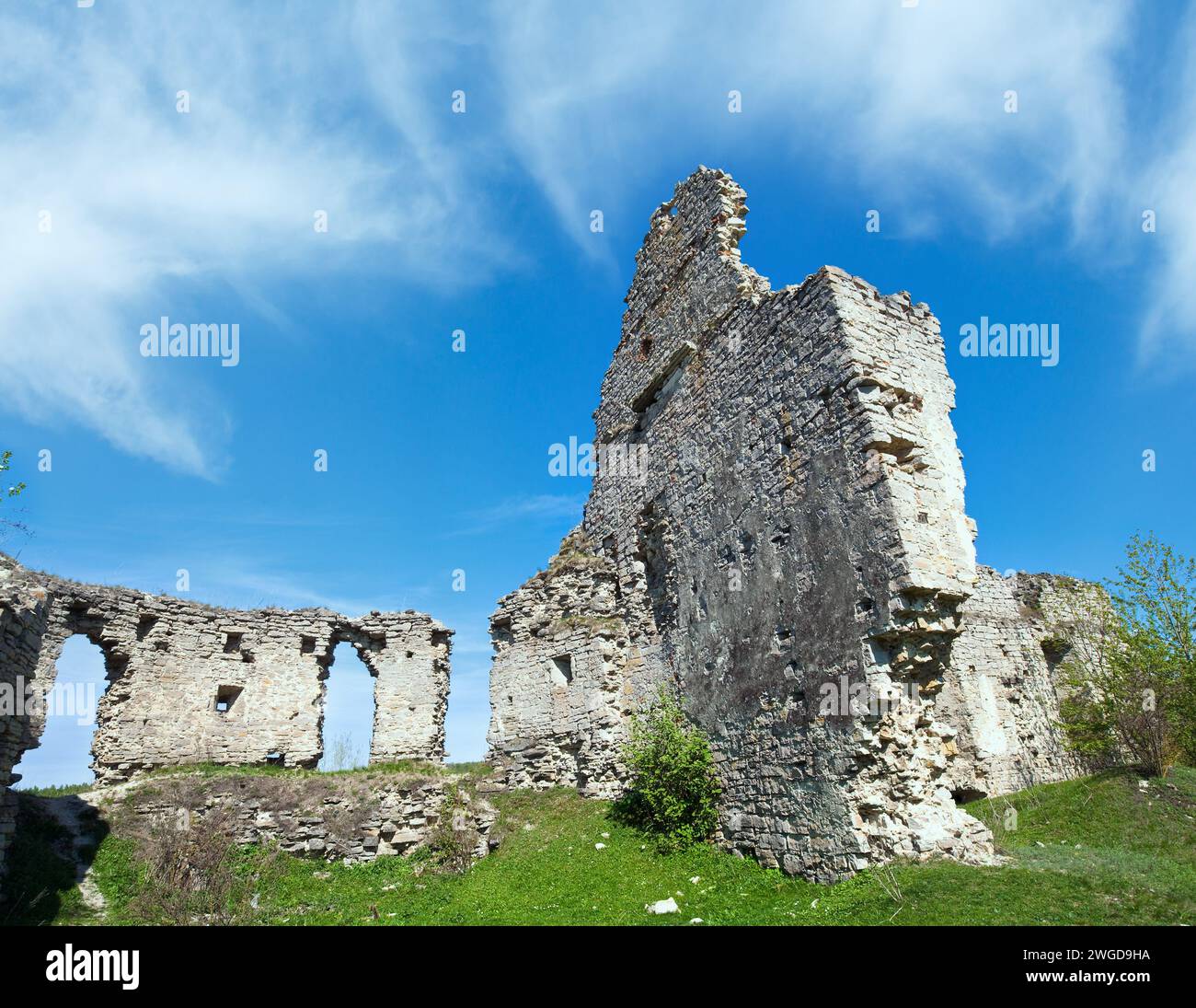 Spring view of Castle ruins (Sydoriv village, Ternopil region, Ukraine ...