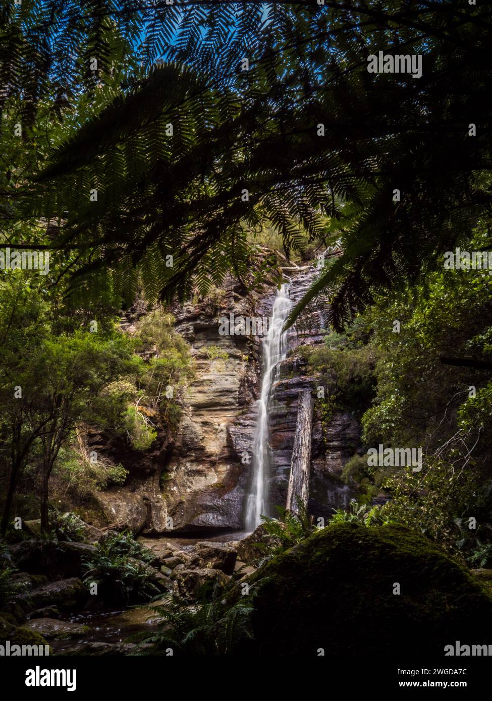 Snug Falls, near Cygnet, Tasmania Stock Photo - Alamy