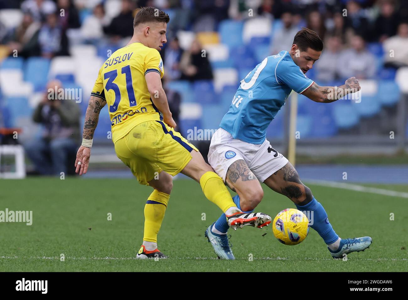 Suslov hi-res stock photography and images - Alamy