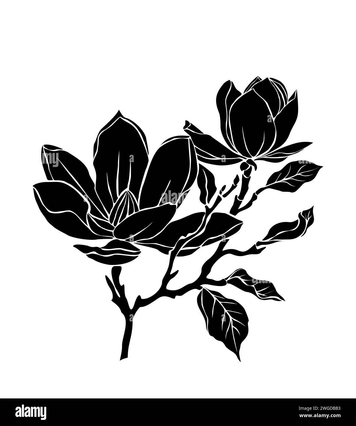 Black silhouette of magnolia flower branch vector Stock Vector Image ...