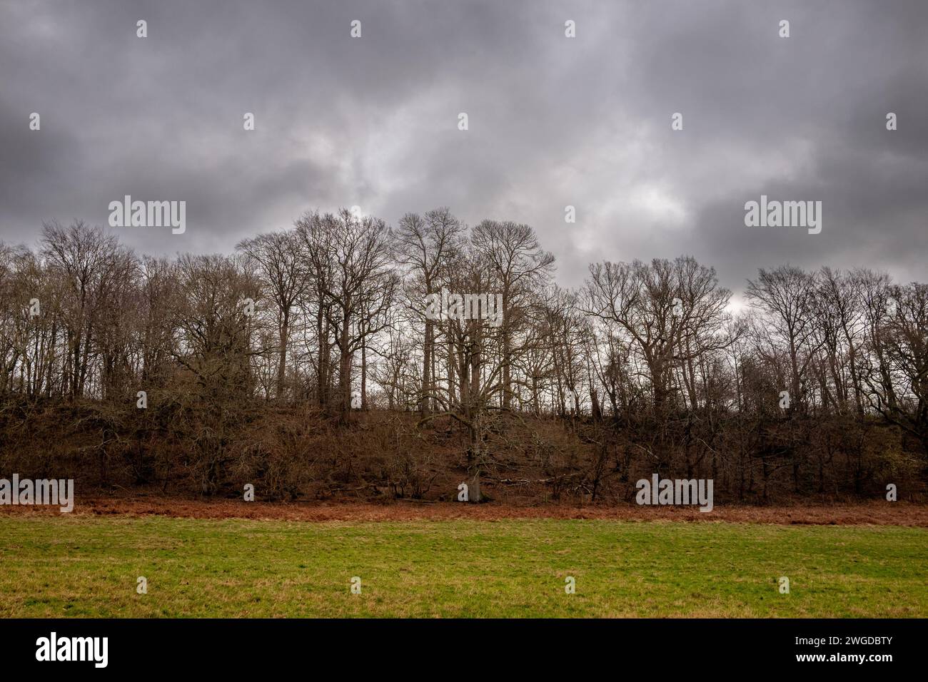 Staplefield hi-res stock photography and images - Alamy
