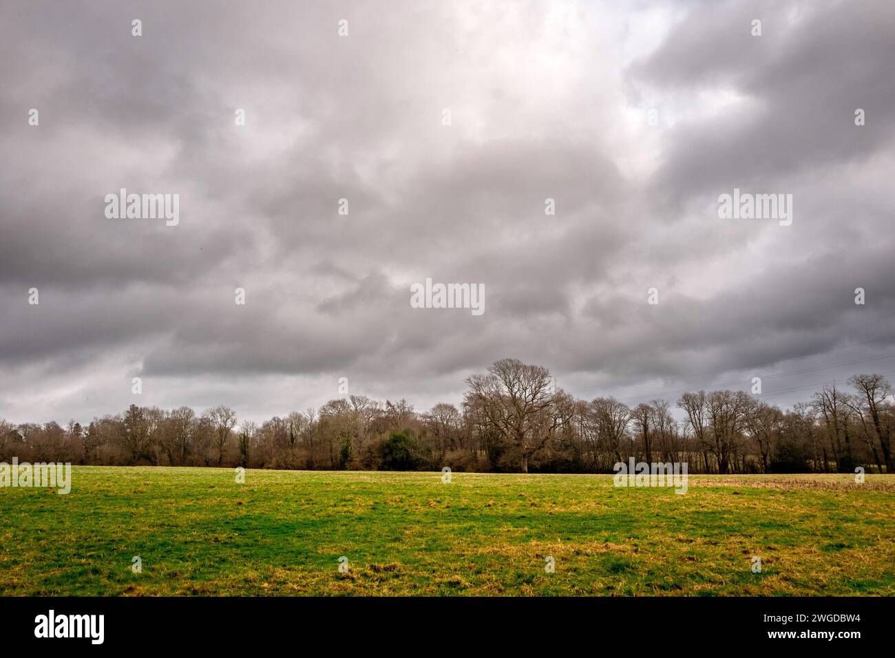Staplefield hi-res stock photography and images - Alamy