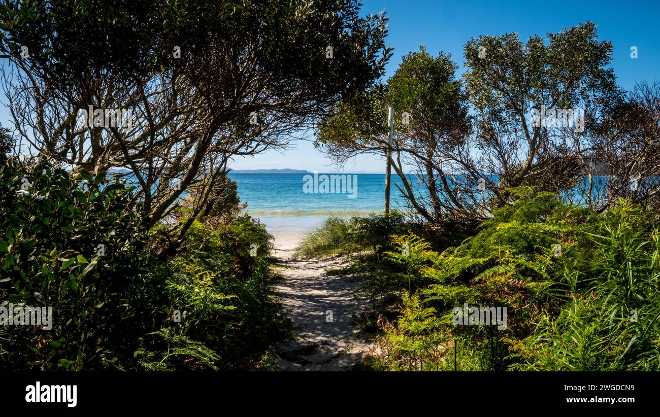 Bruny island beach, Tasmania Stock Photo - Alamy