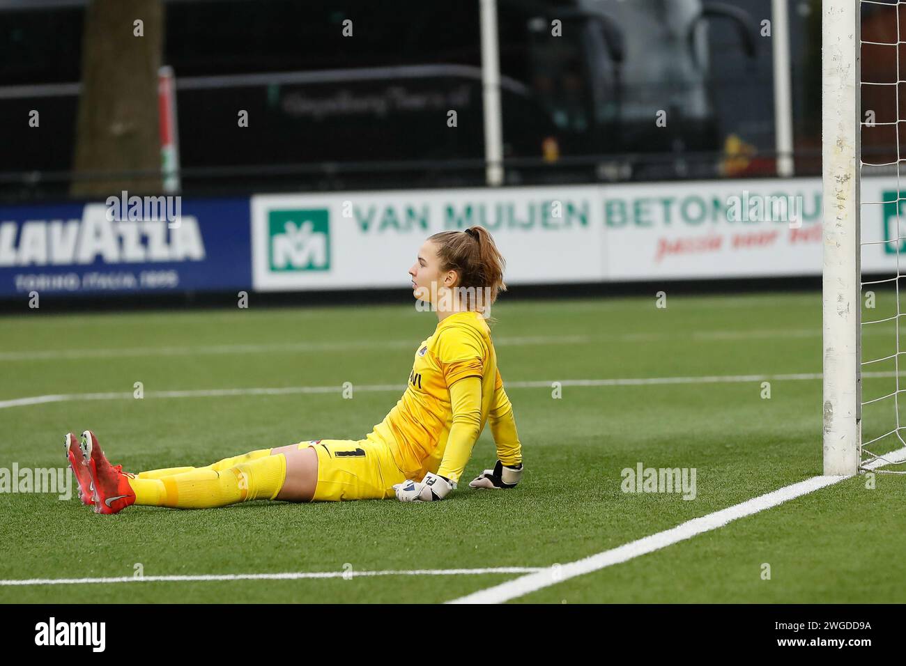 Femke liefting goalkeeper hi-res stock photography and images - Alamy