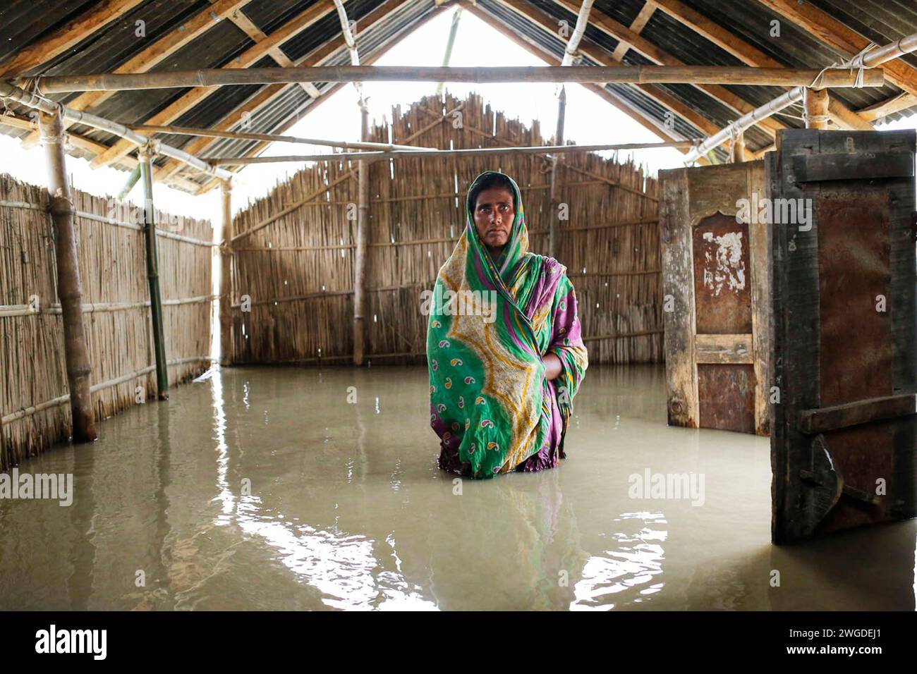 A bangladeshi Woman in flood water. Bangladesh Stock Photo - Alamy