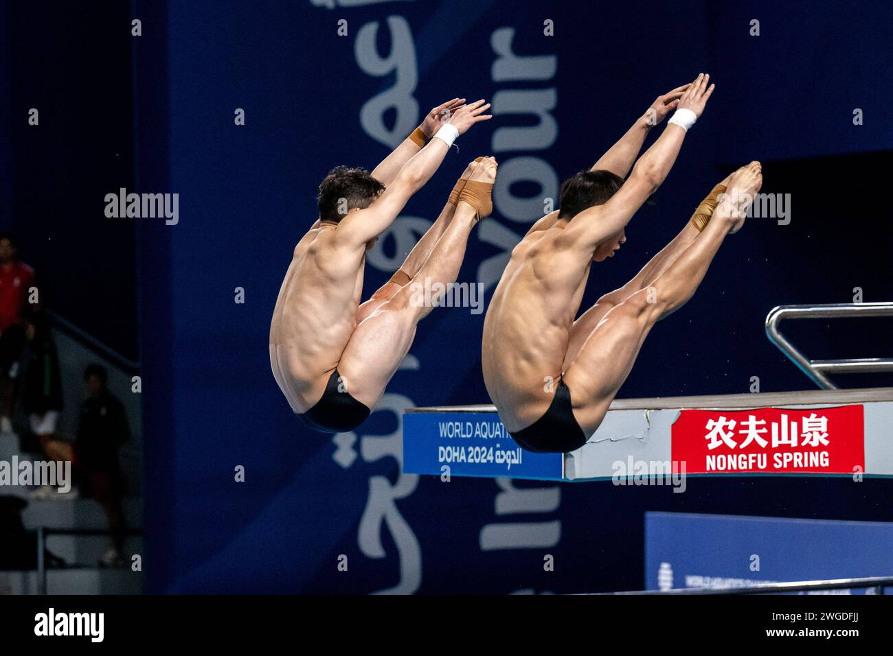 Doha, Qatar. 04th Feb, 2024. Daoyi Long - Zongyuan Wang of China compete in the Diving 3m ...