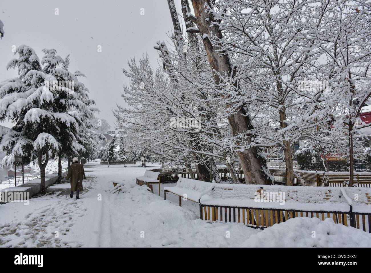 A man walks through the snow covered park during a heavy snowfall in ...