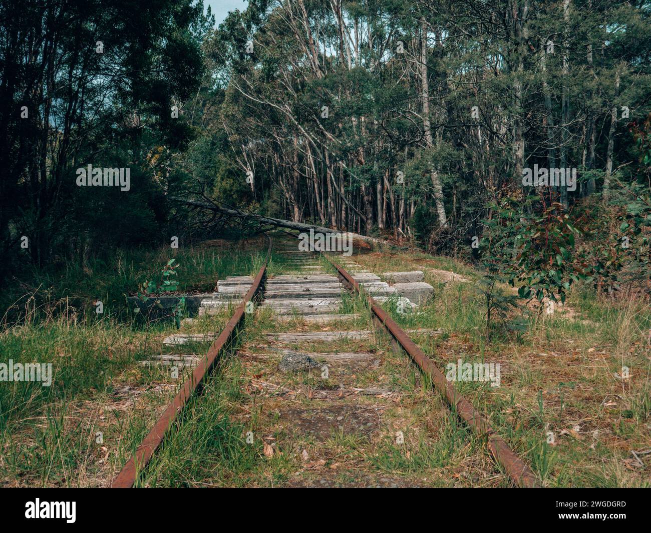 Port rail line hi-res stock photography and images - Alamy